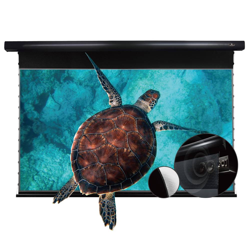 PRO P Slimline Motorised Drop Down Projector Screen With Ultra Short ...