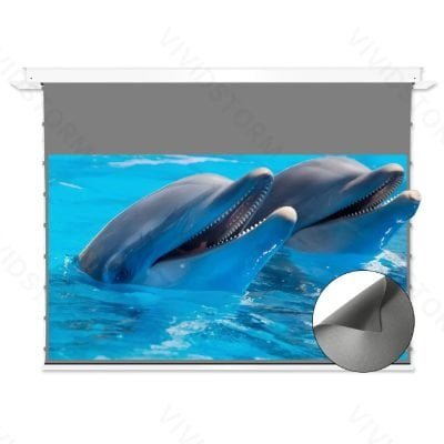 VIVIDSTORM TITAN 160"-200" Motorized Tension Floor Rising ALR Projector ...